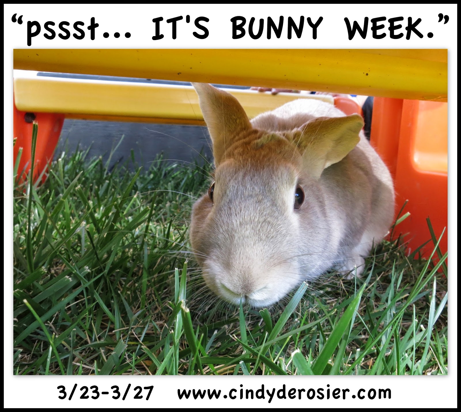 Cindy deRosier: My Creative Life: Kool-Aid Bunny Craft (Bunny Week, Day 1)