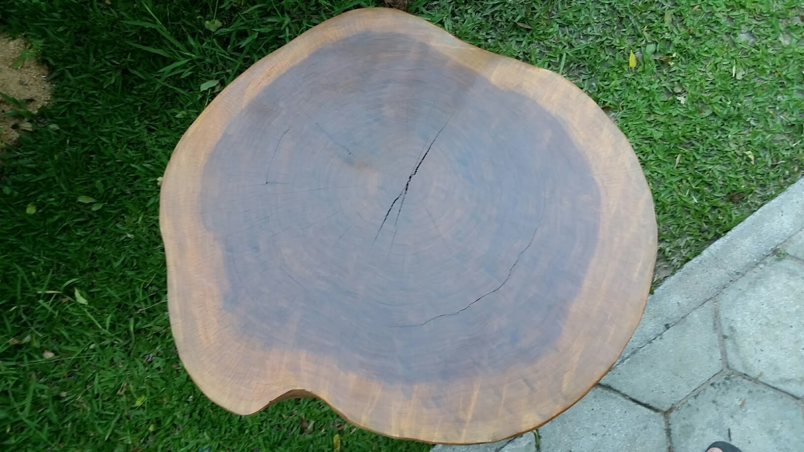 Ipe Roxo: Bolacha de madeira - tora fatiada de madeira - Ipe Roxo