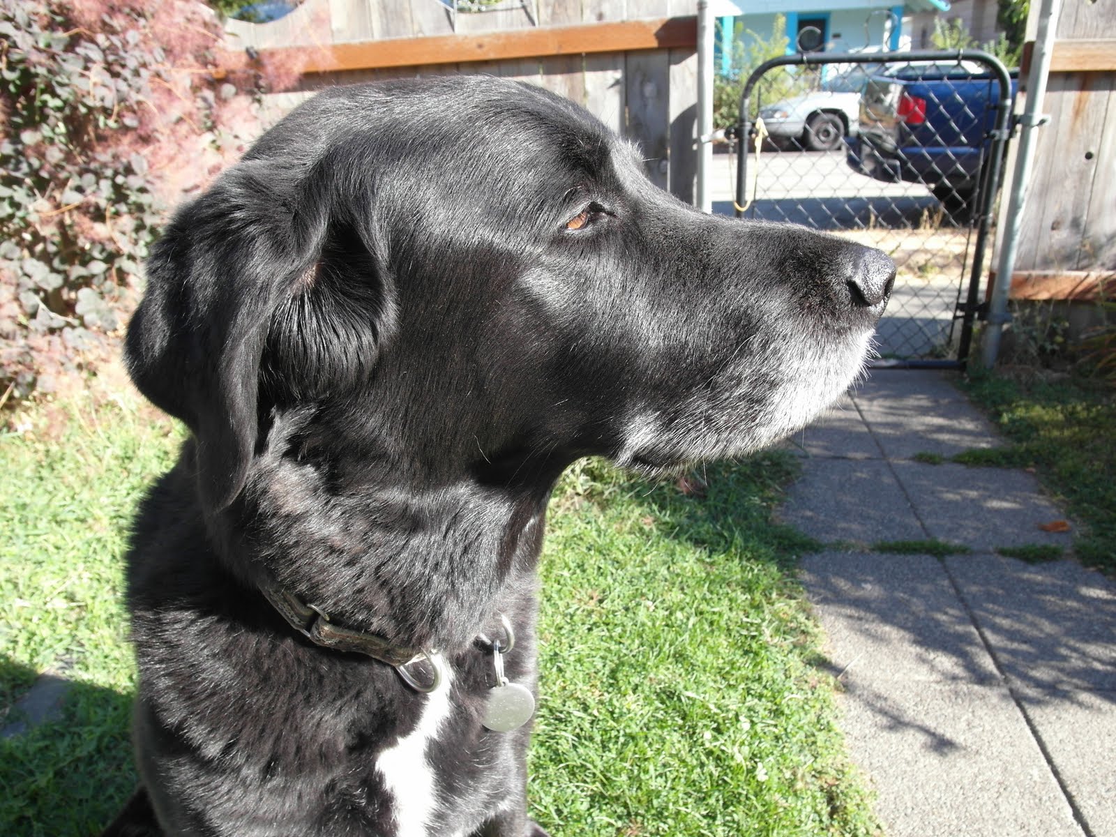 Notes From Pajan: Zoo