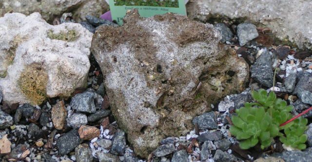 BARROW WORKS: Homemade Hypertufa Rocks