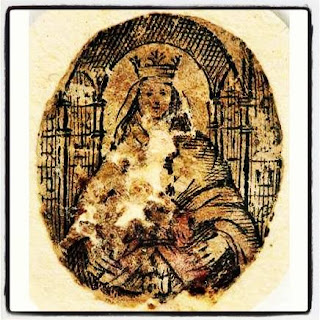 In Humboldt's Footsteps