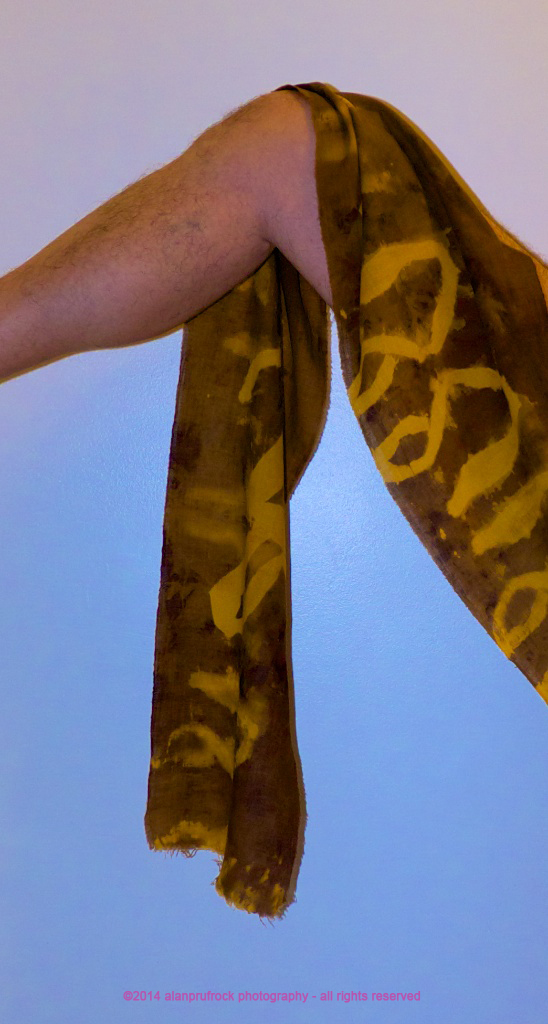 fundoshi fabric photos and more: 2014 Hotel Series 2 - Brown Voile ...