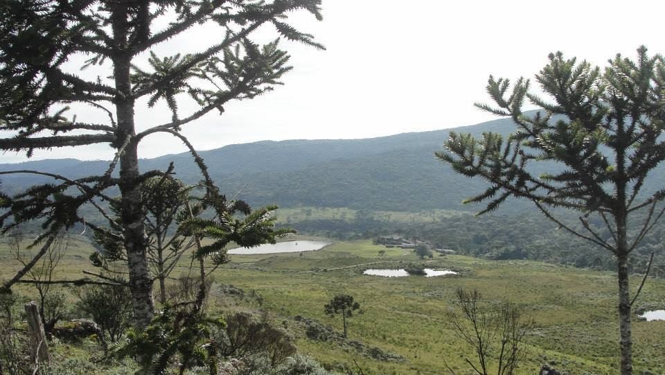 TURISMO ***: *** URUPEMA - SANTA CATARINA - BRASIL - BRAZIL