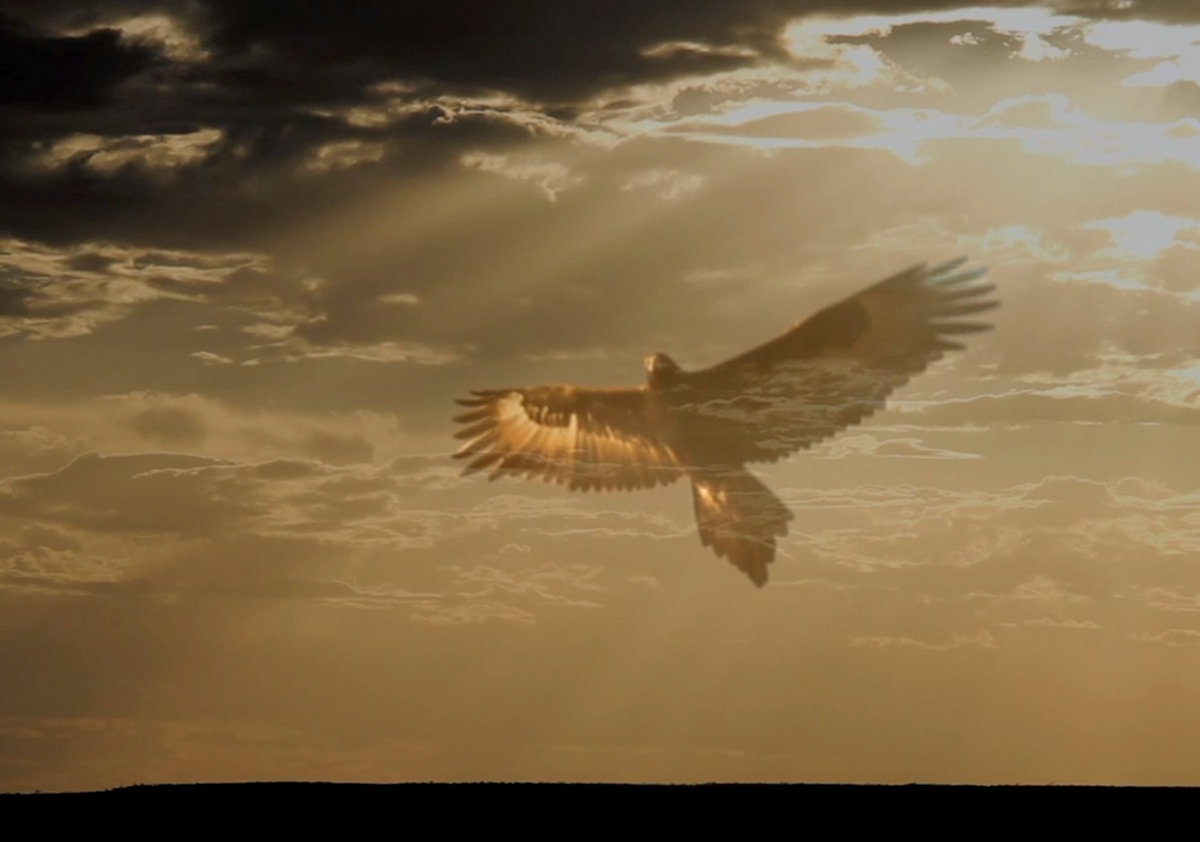 iNSiGHT News: Eagle Satellite Tracking: the documentary trailer