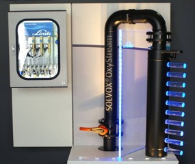 The Aquaculturists: Oxygenation system for whole-life on-land