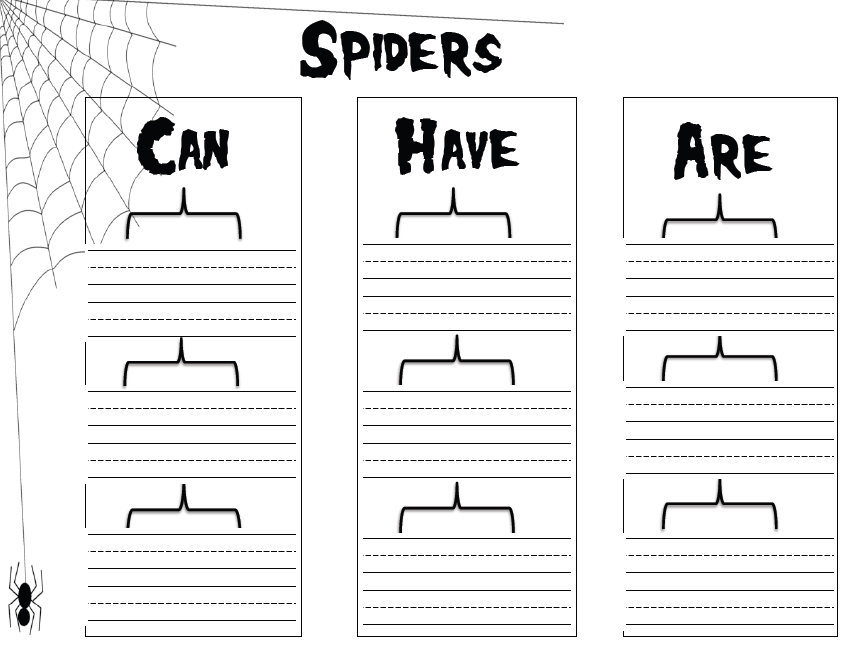 Ms. Smarty Pants : Spiders...
