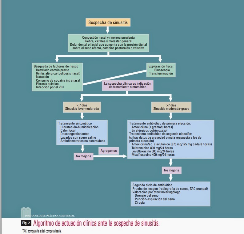 Selecciones ORL: Sinusitis Aguda