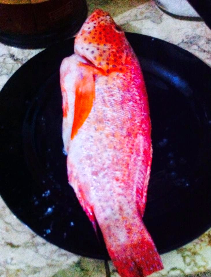 Sweet and Sour Lapu-lapu