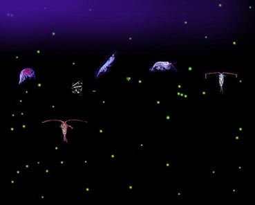 Página de curiosidades y más: ¿Qué es plancton?