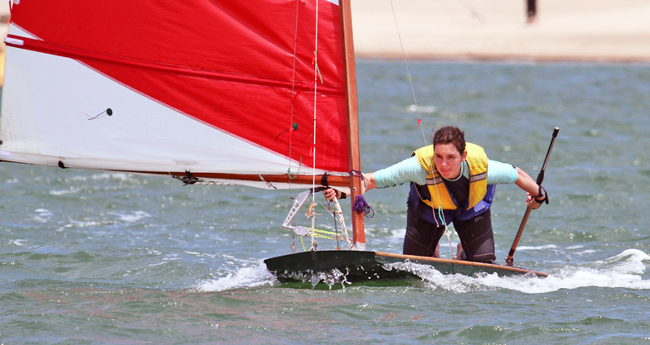 Earwigoagin: Header Photo: The Australian Sailfish; ICWDR 2019