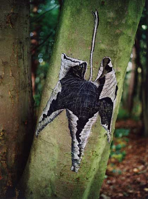 paradis express: Tim Pugh