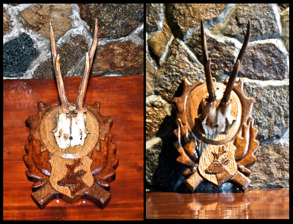 panoplii de vanatoare: panoplii caprior