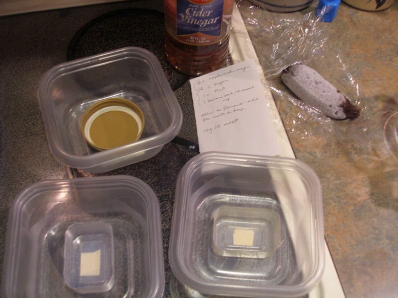 Thy Hand Hath Provided: Small Hive Beetles & A Homemade Trap