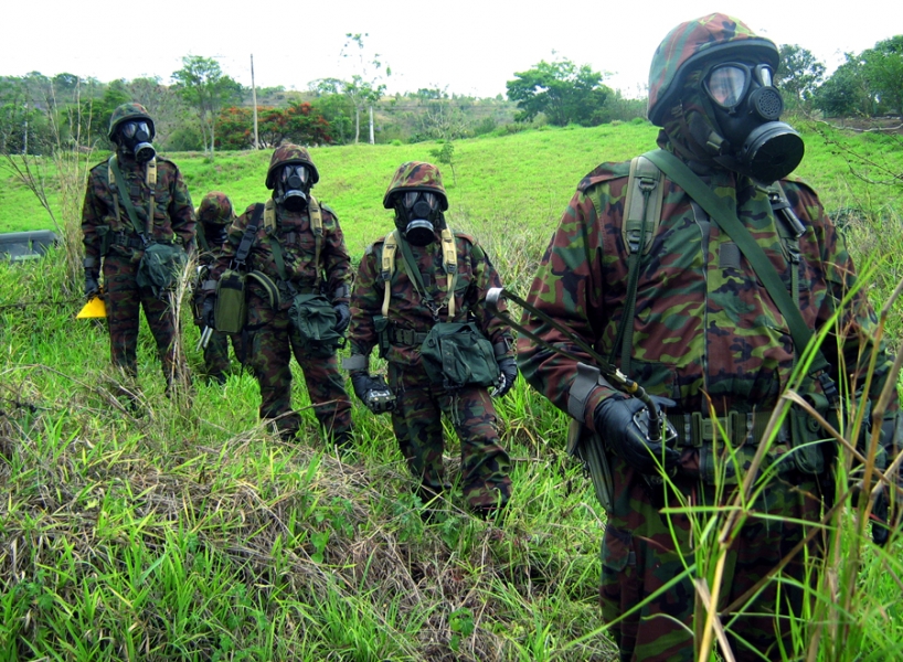 COMANDOS Exercito Brasileiro - Bizu de Militar