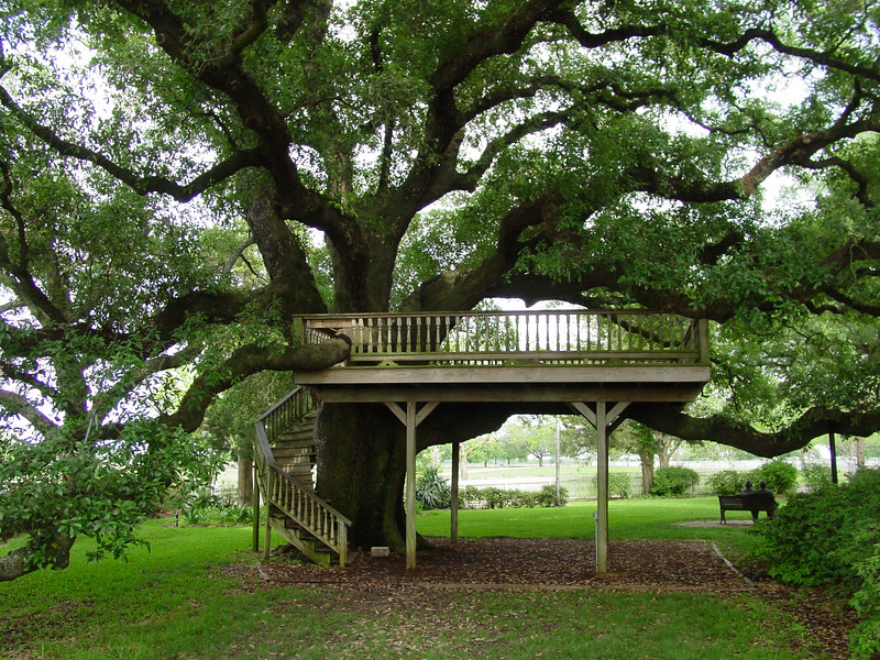 Two Men and a Little Farm: TREE PLATFORM, INSPIRATION THURSDAY
