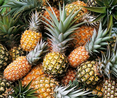Benefícios do Ananás | A minha alma canta