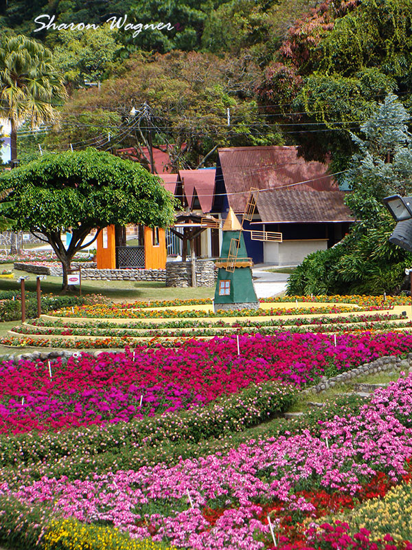 Sharon's Souvenirs: Beautiful Boquete