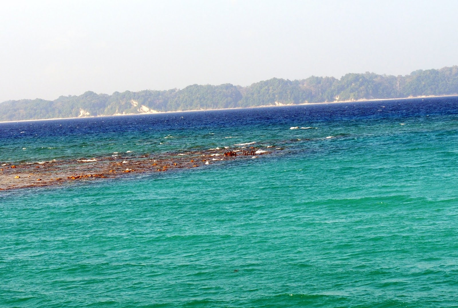 work of a mentor: Sea Shell Resort - Neil Island, Andaman