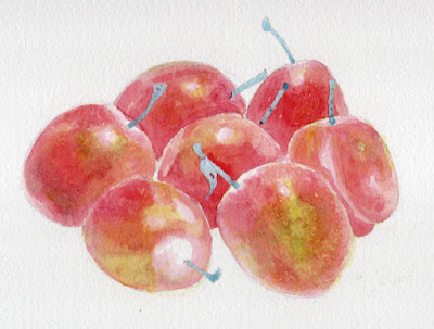 Stoneflower: Seven Plums - watercolour demonstration