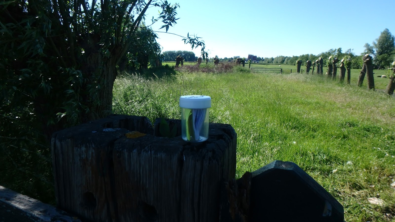 Geocache: In the fence pole