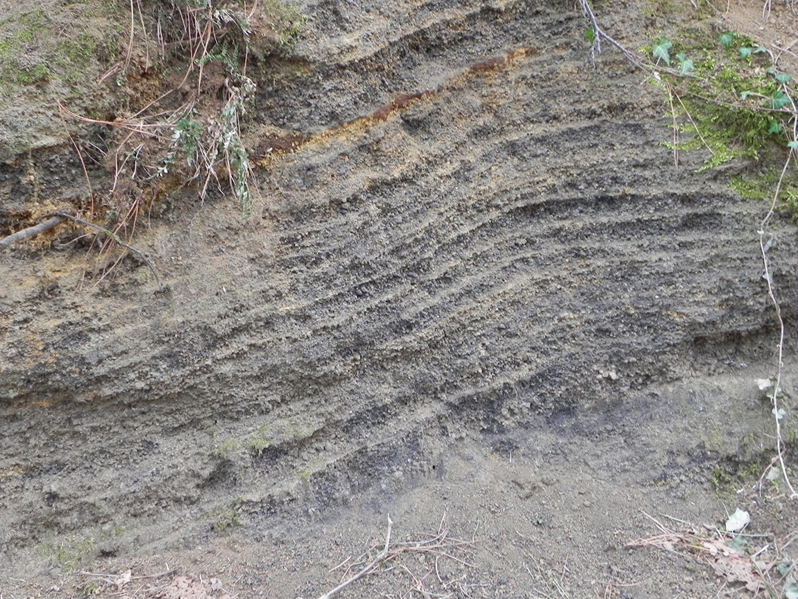 CURIOSIDADES CIENTÍFICAS : Lapilli