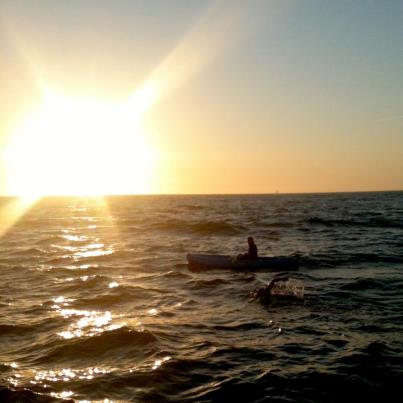 Evan Morrison Swims From A Dark Place To Hollywood – World Open Water ...