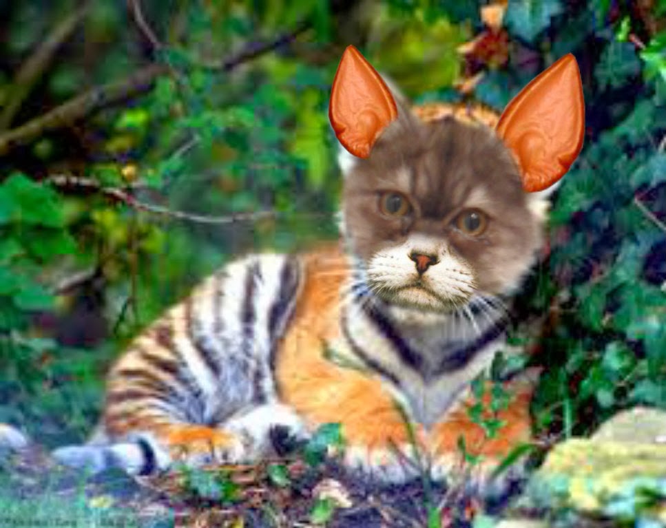 Core French with Mme Batchelor: Les animaux mélangés