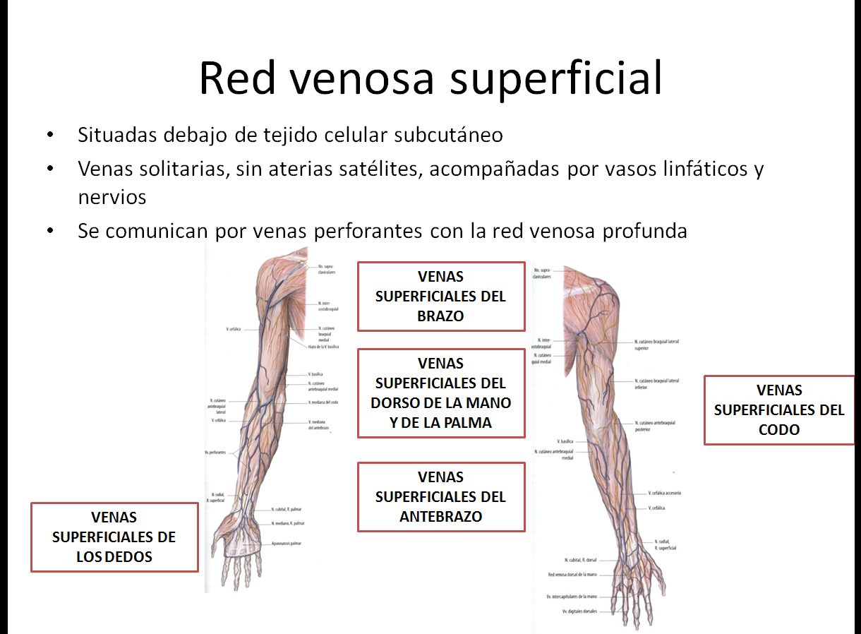 INFORMACION DE APOYO PARA ESTUDIANTES DE MEDICINA Y PERSONAS QUE DESEEN ...