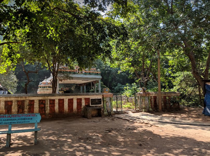 Hindu Temples of India: Karanja Narasimha Swamy Temple, Ahobilam ...