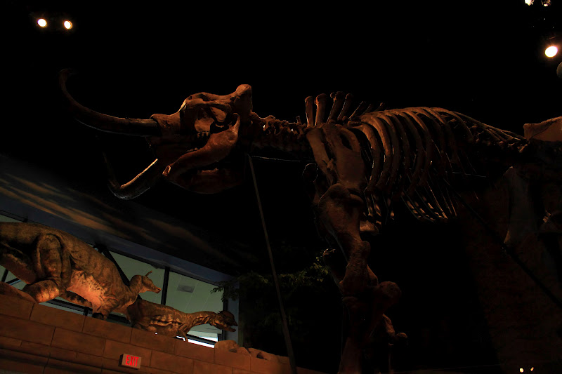 Seeing Through a New Lens: Creation Museum