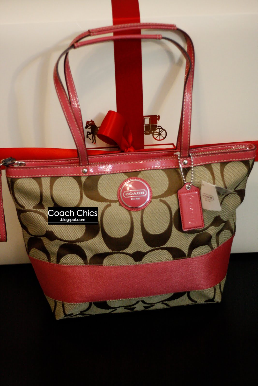 Coach Chics: NEW COACH COLLECTION- Signature Stripe Tote