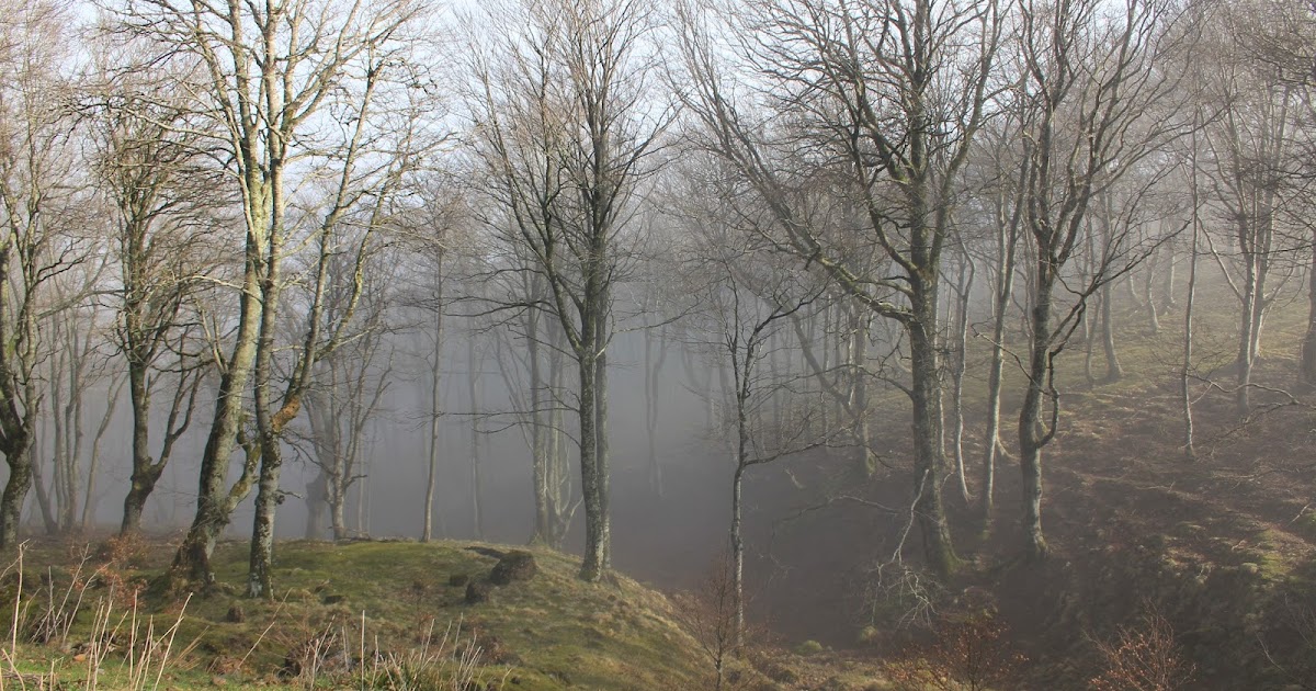 Unterwegs...: Jedenfalls