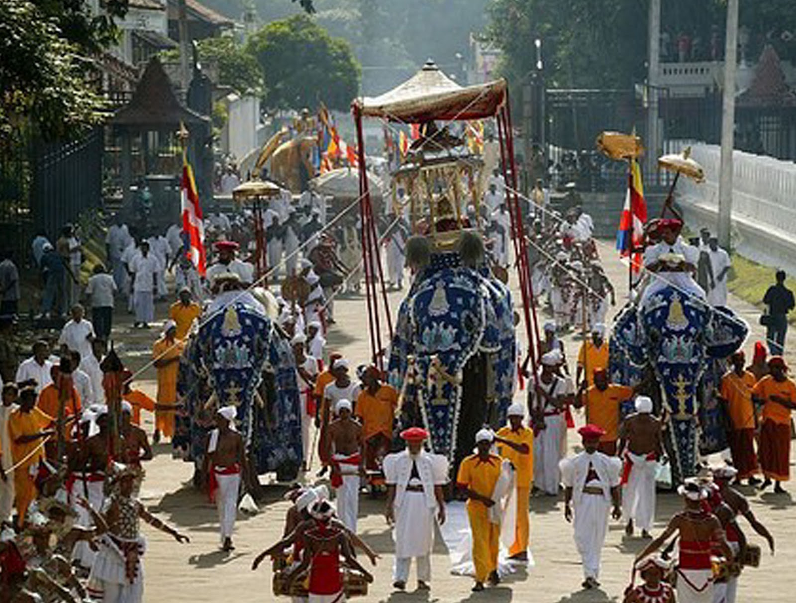 Elephant Island: The Kandy Perahera - Asia's Most Spectacular Pageant
