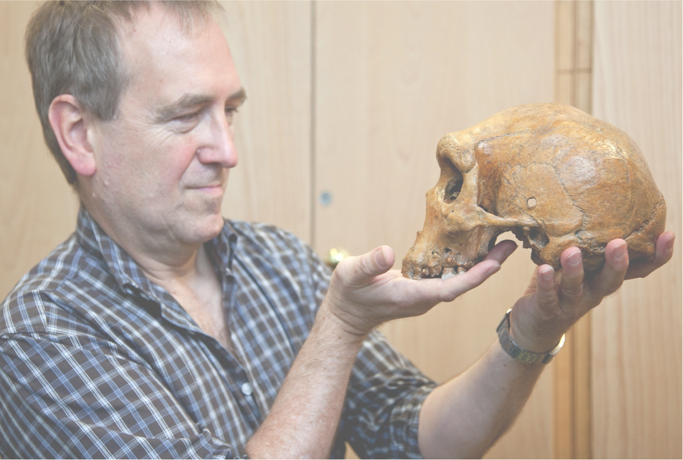 Anatomy at King's: October 2015