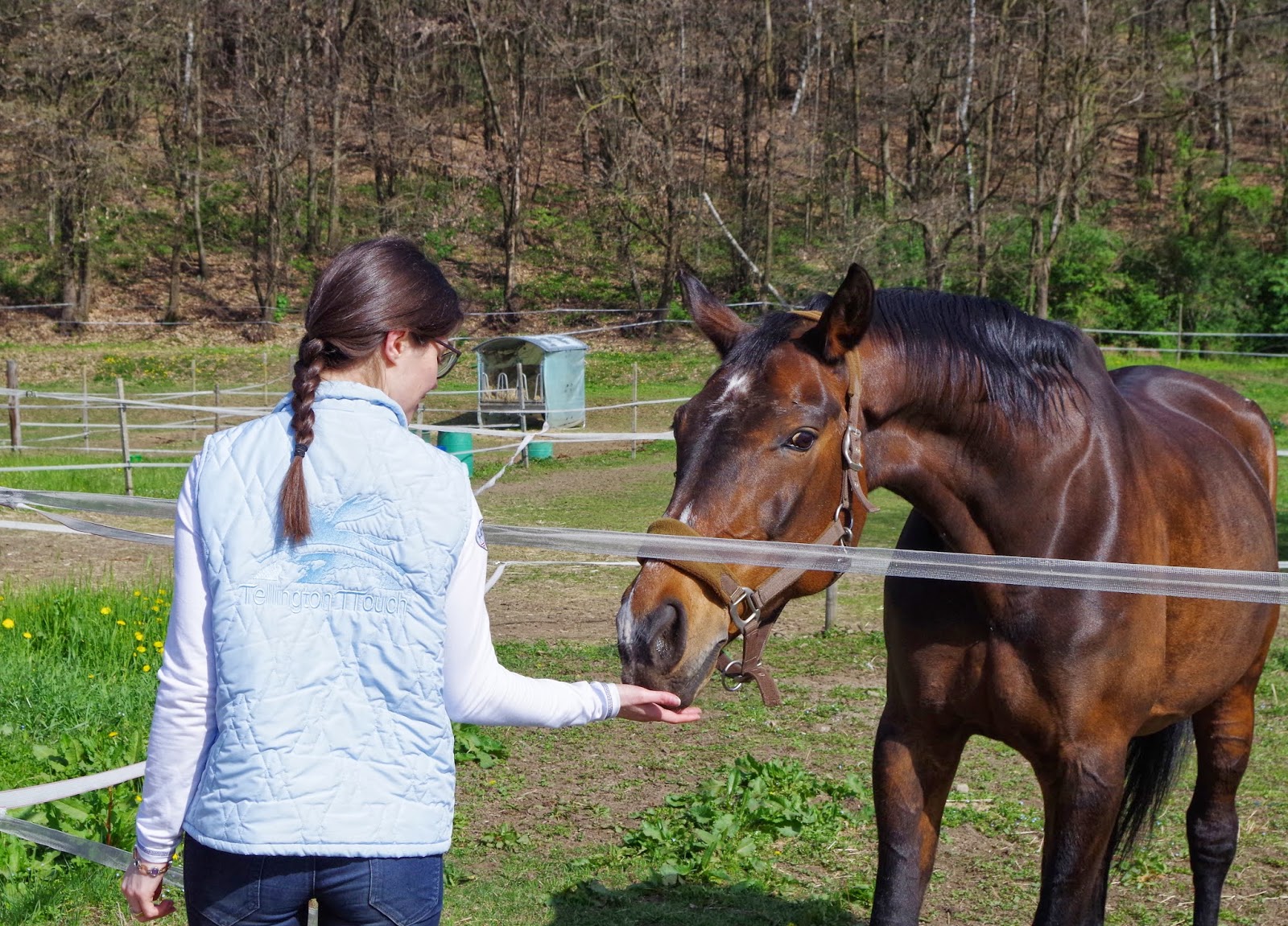Tacchi a Cavallo: The Touch That Teaches: introduction to the ...
