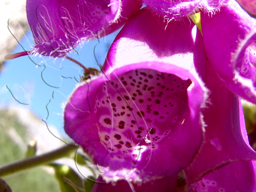 entra y mira: febrero 2011