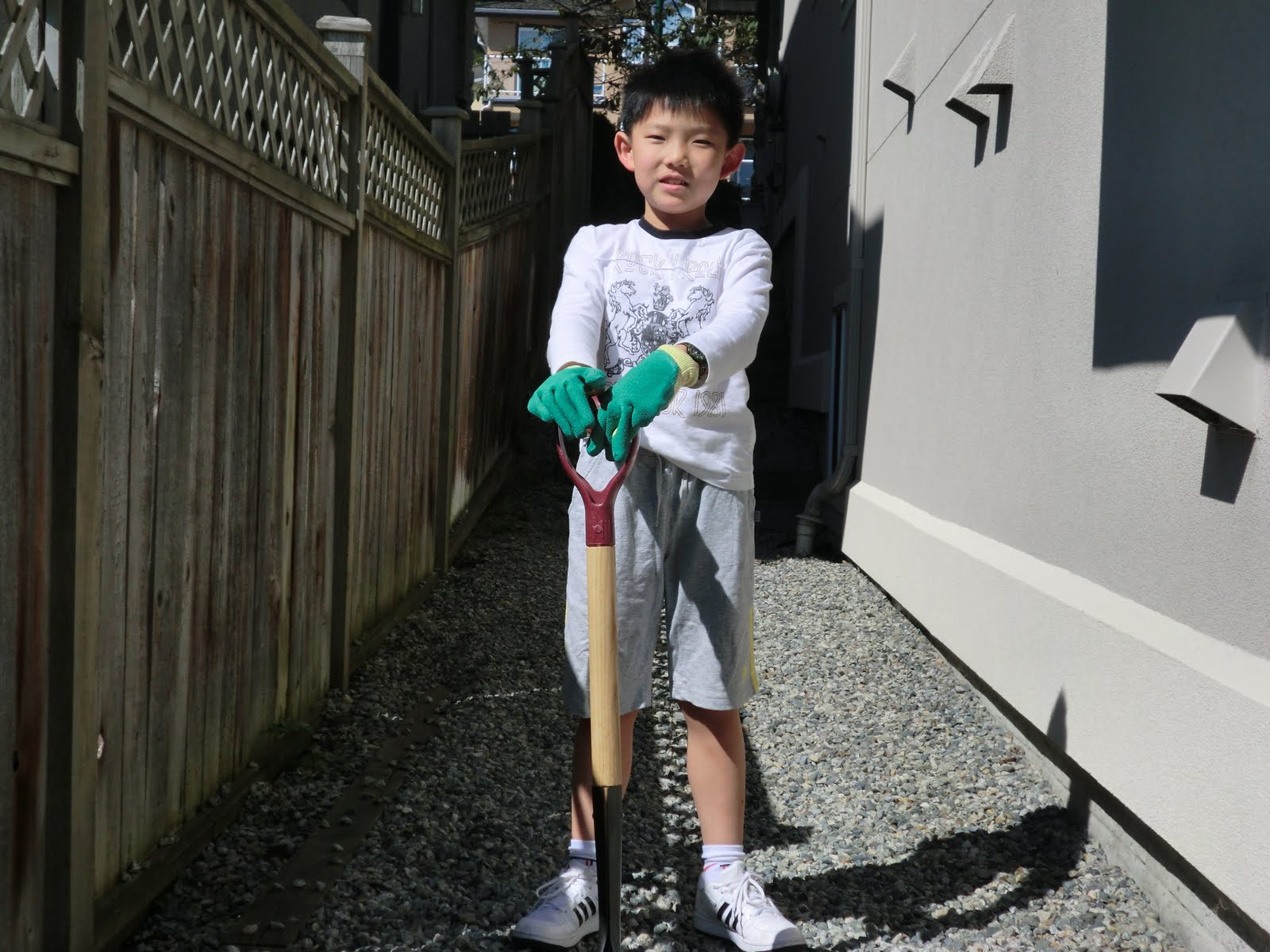 温哥华自由的天空 Vancouver Free Sky World: Pinetree Way Elementary