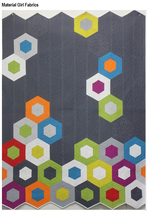 Jaybird Quilts: Your Photos: Science Fair!