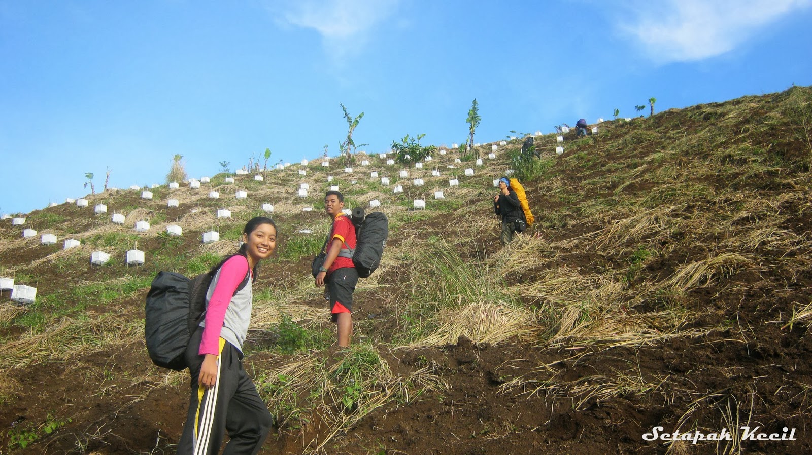 Jalur Pendakian Gunung Cikuray Garut ~ WisataTraveling & Masakan Nusantara