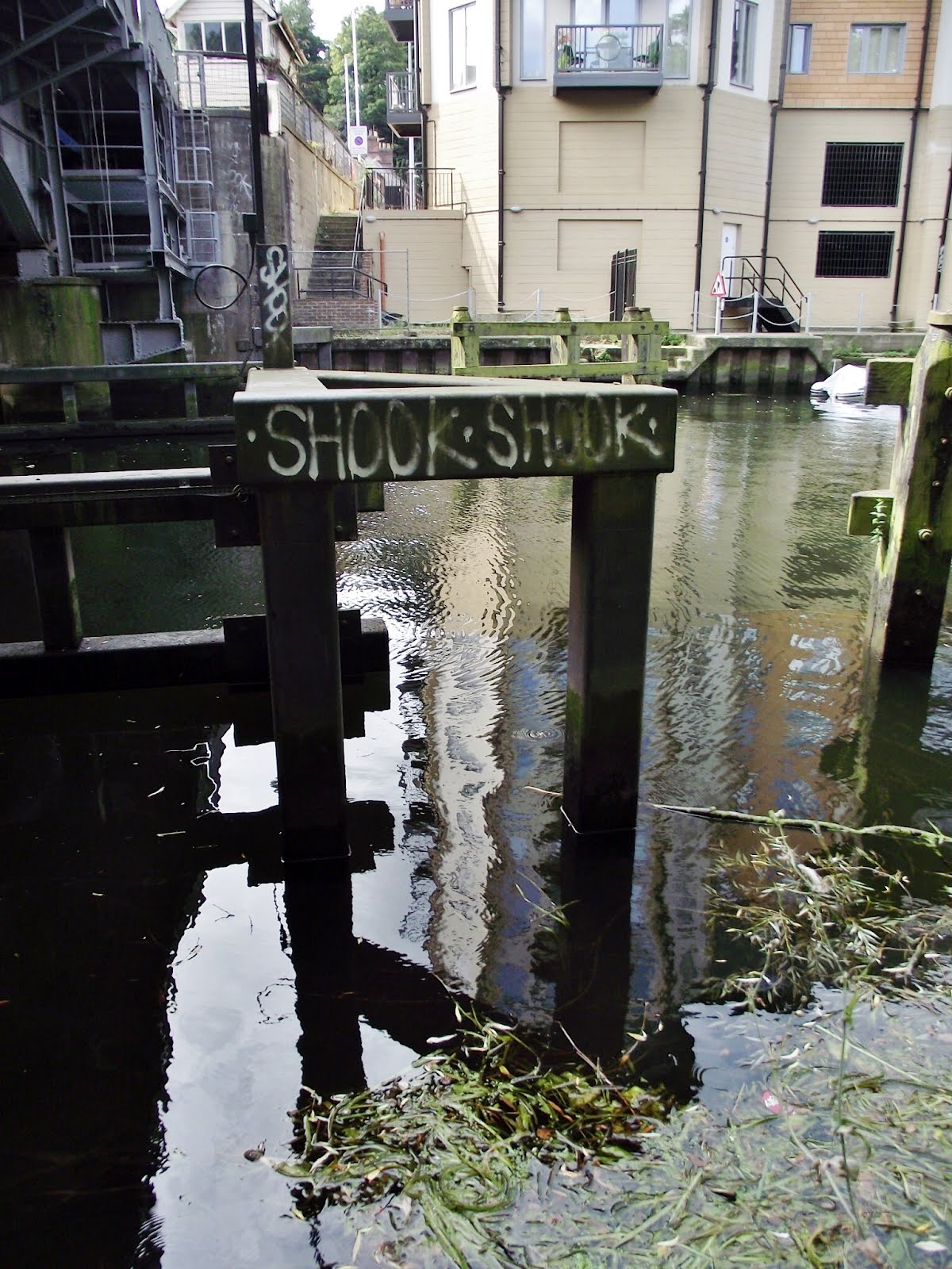 EastScapes: Black Shook: Graffiti and Folklore