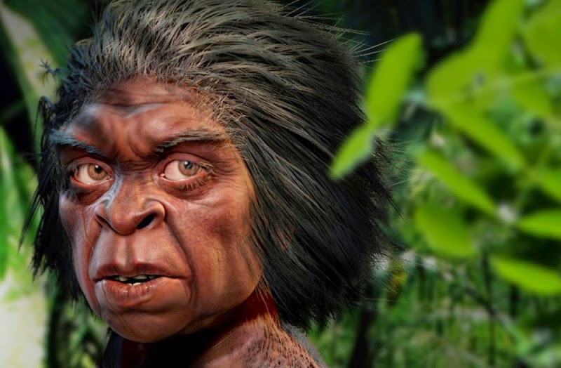 De Todo Para TI: Así es un hobbit en la vida real