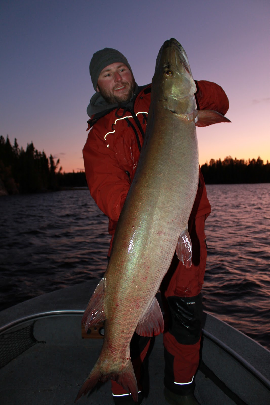 Big Fishes of the World: MUSKIE page 2
