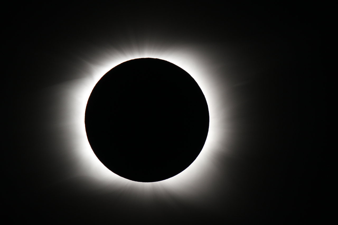 BIOFLAGRANTES*: 3 DE MAIO DIA DO SOL