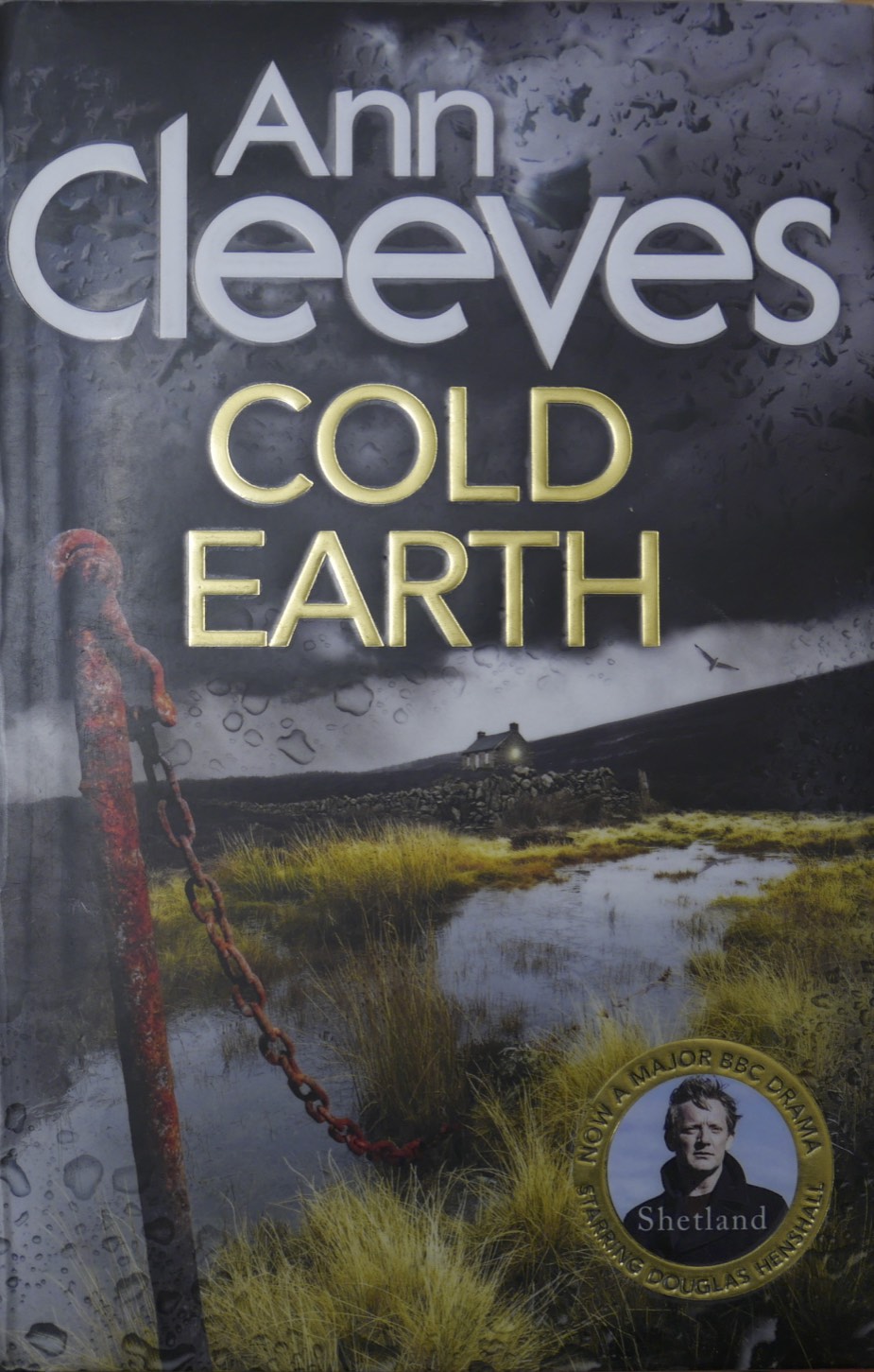 Valopolku: Ann Cleeves: Cold earth