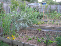 Polystyrene Garden Junkie