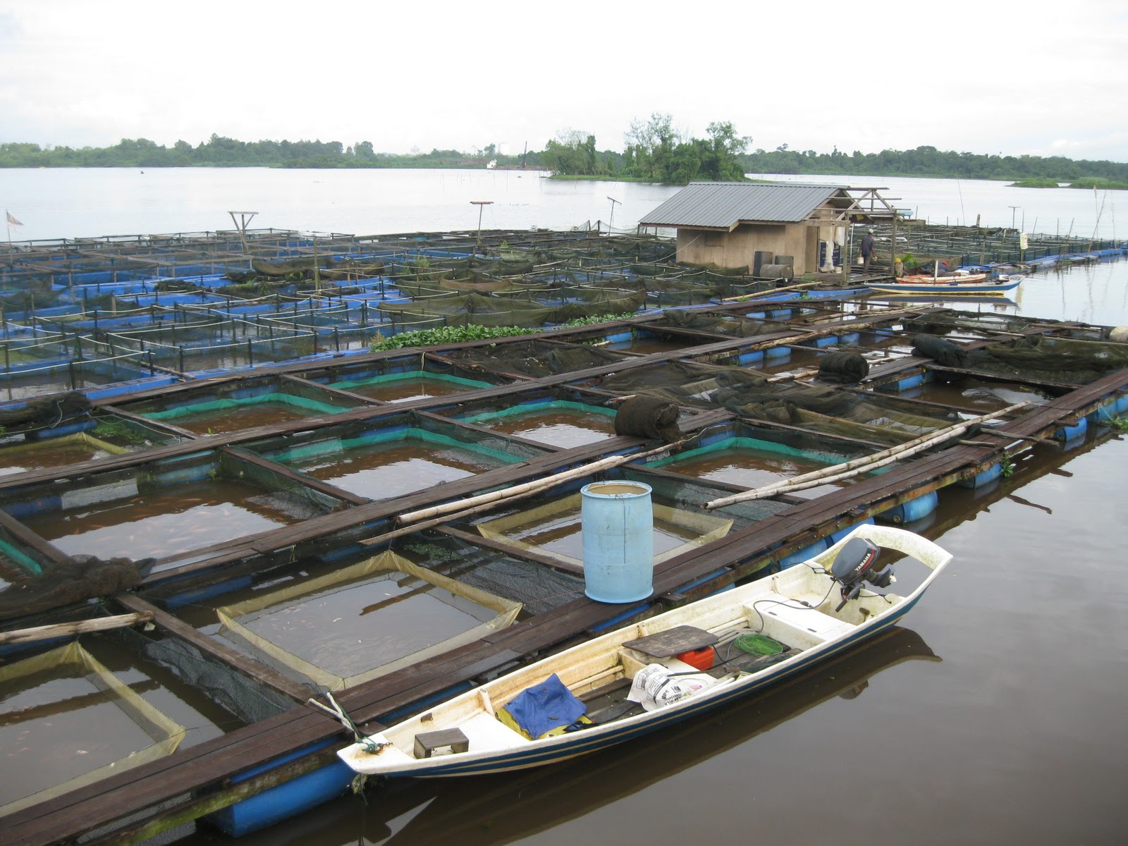 KOBERA DUN N.6 TUPONG: March 2011