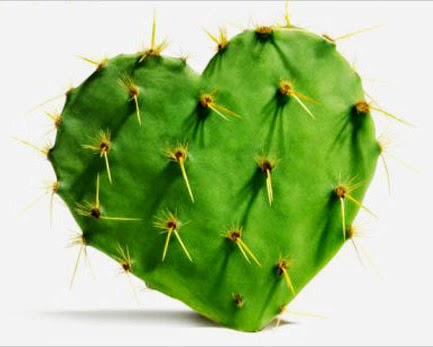 El Nopal y sus Propiedades para la Salud ~ Multiverso Holográfico Cuántico