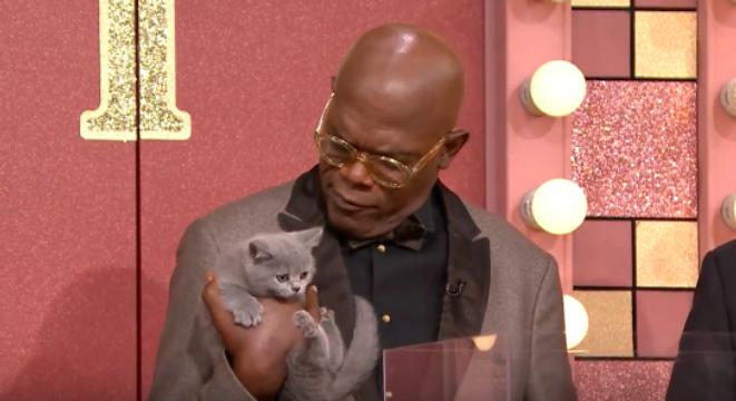 10 Celebrities with Cats