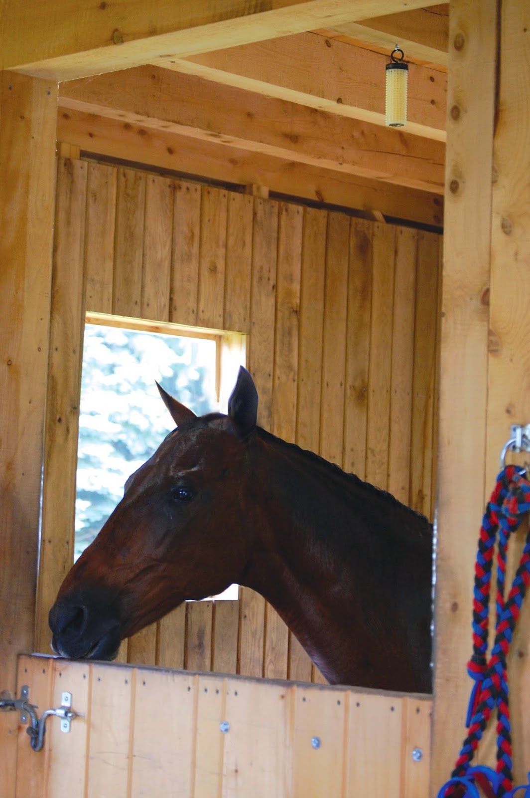 BugPellent Natural Insect Repellent: How to get rid of flies in the barn