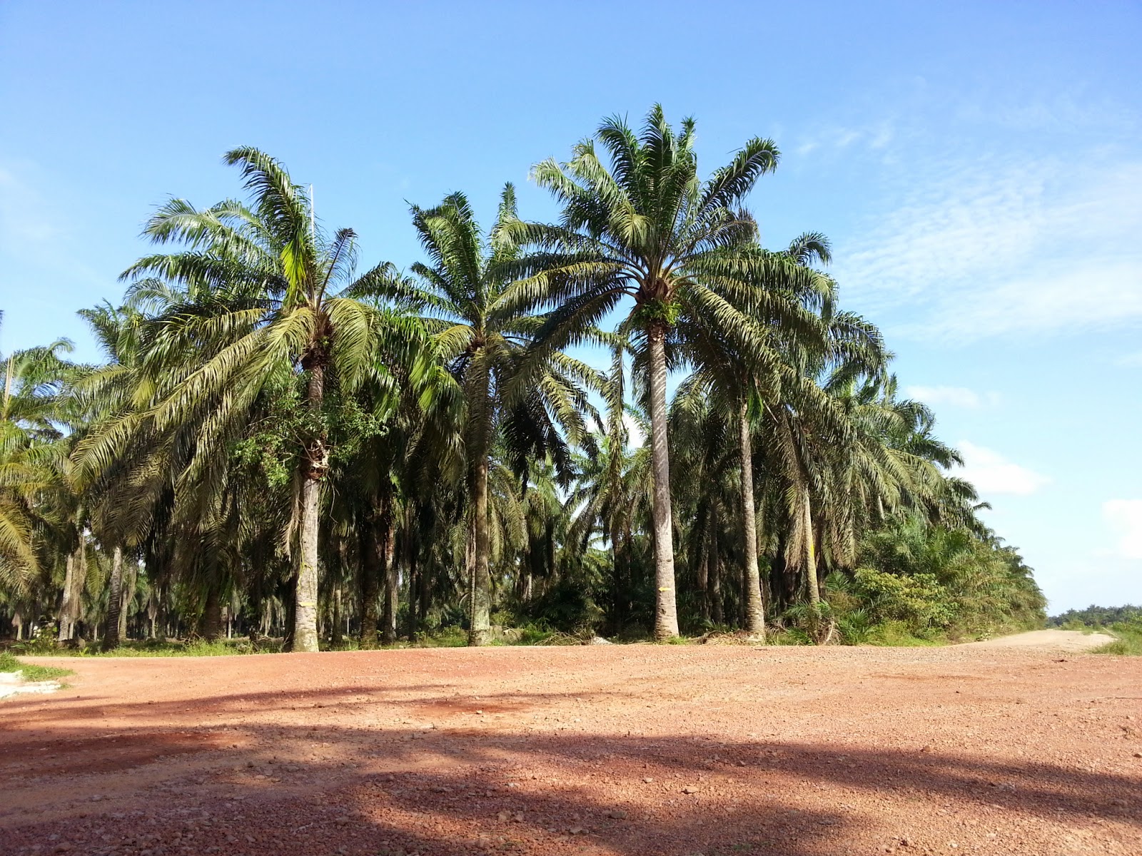 Trip Memancing Haruan Di Chaah, Segamat - Kayangan Cinta Kita